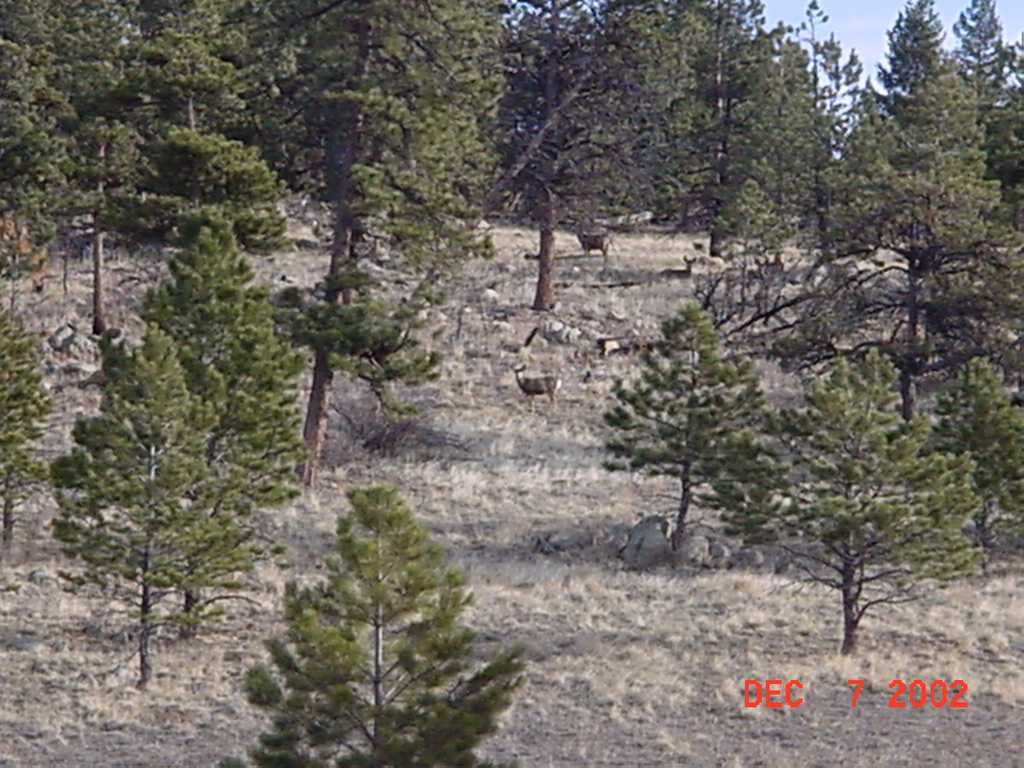 Walker Ranch, December 7, 2002